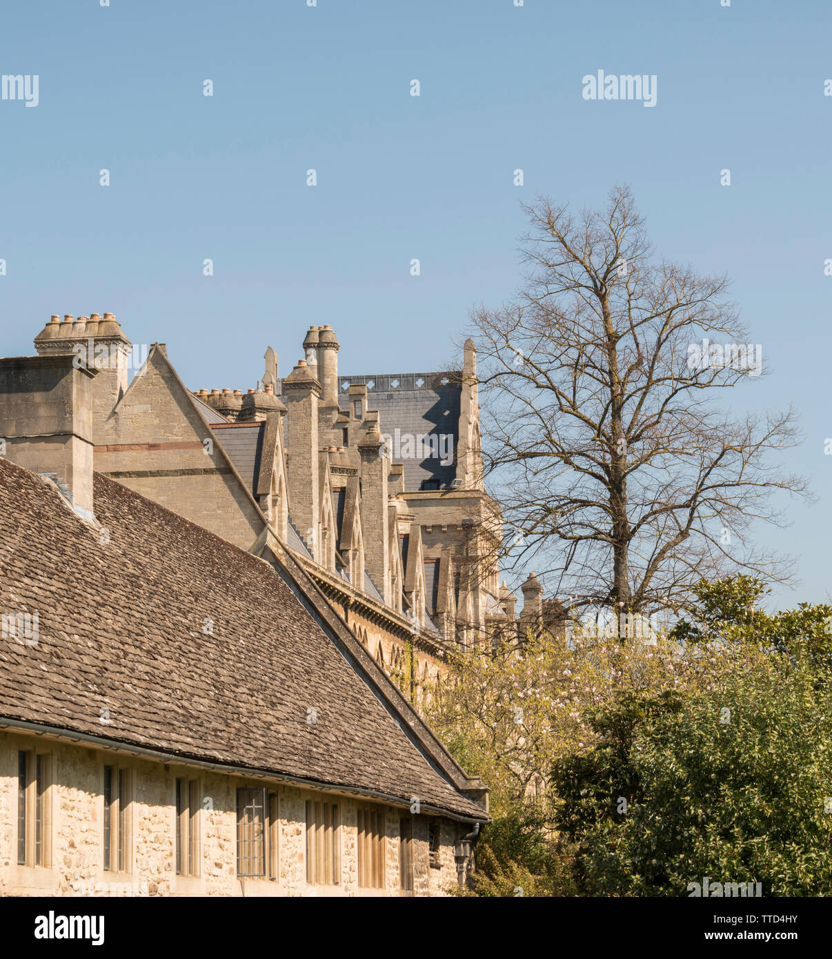 Christ Church College, Oxford University Stock Photo - Alamy