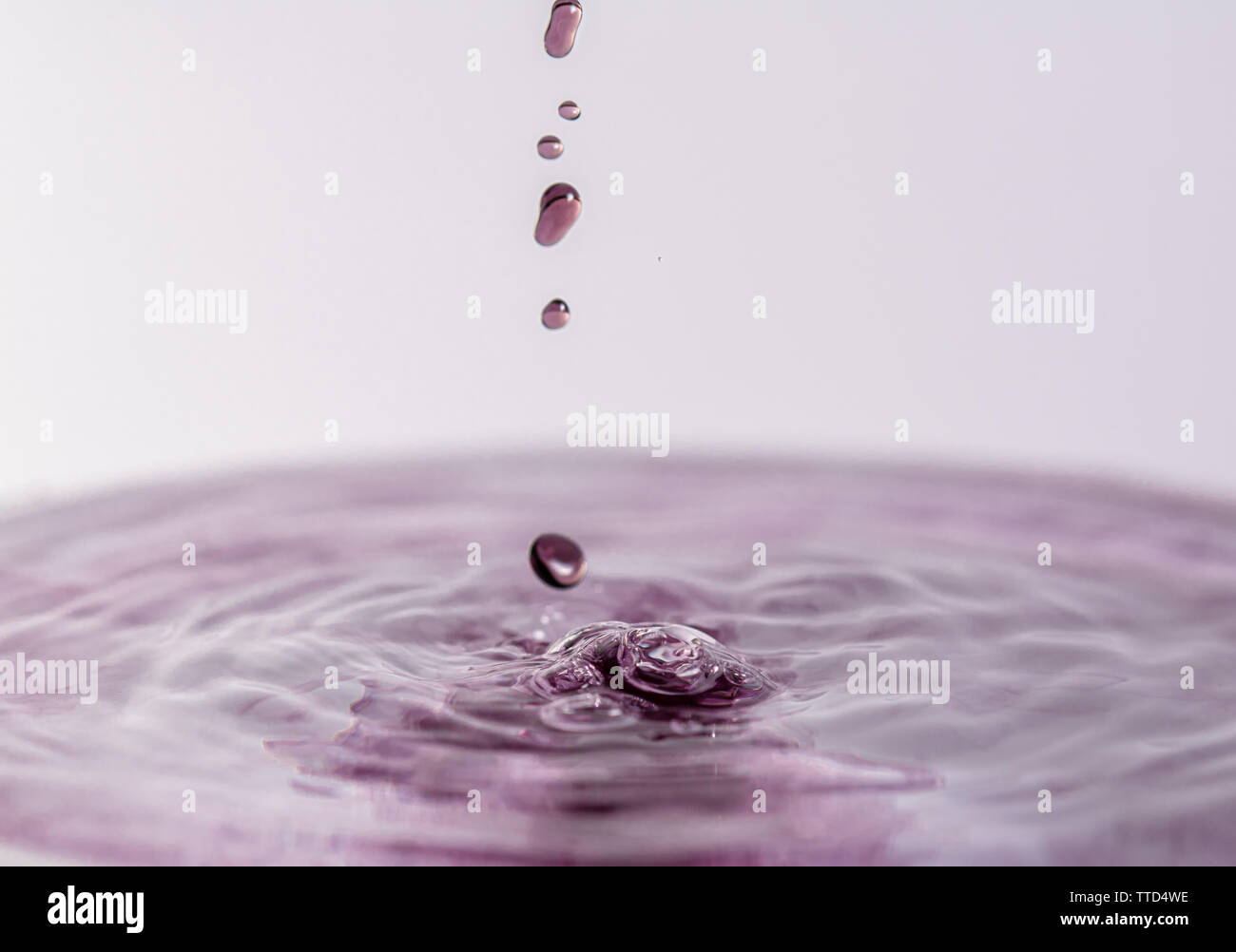 Close up macro photography of a purple water drop splashing into water ...