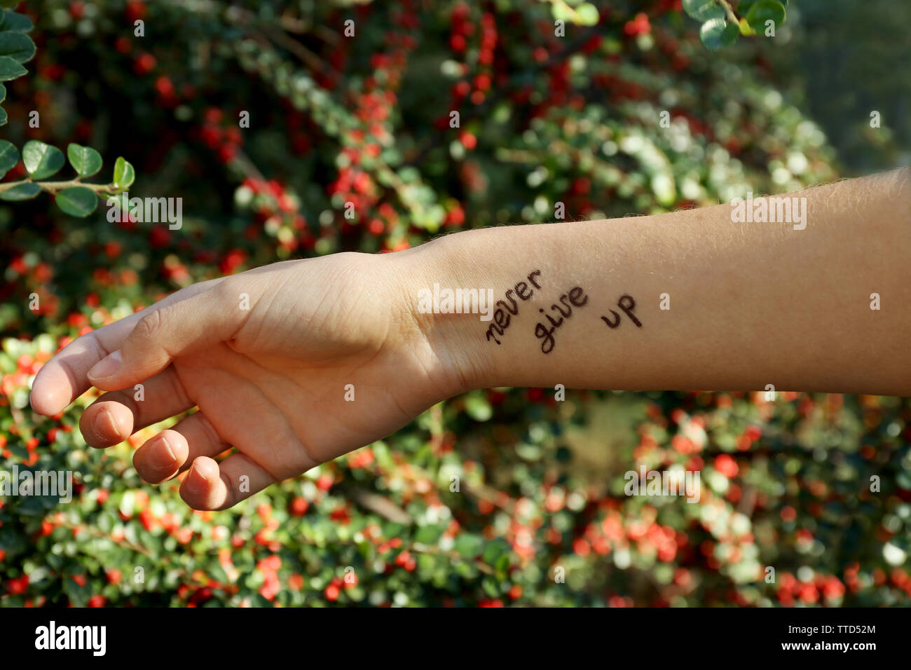 Female hand with tattoo in rowan bush background Stock Photo - Alamy