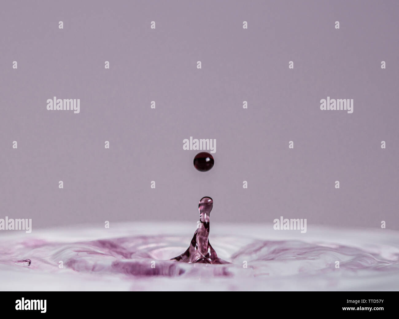 Close up macro photography of a purple water drop splashing into water ...