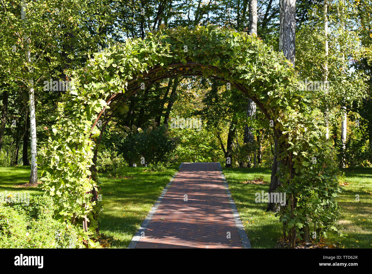 Park in the Summer Stock Photo - Alamy
