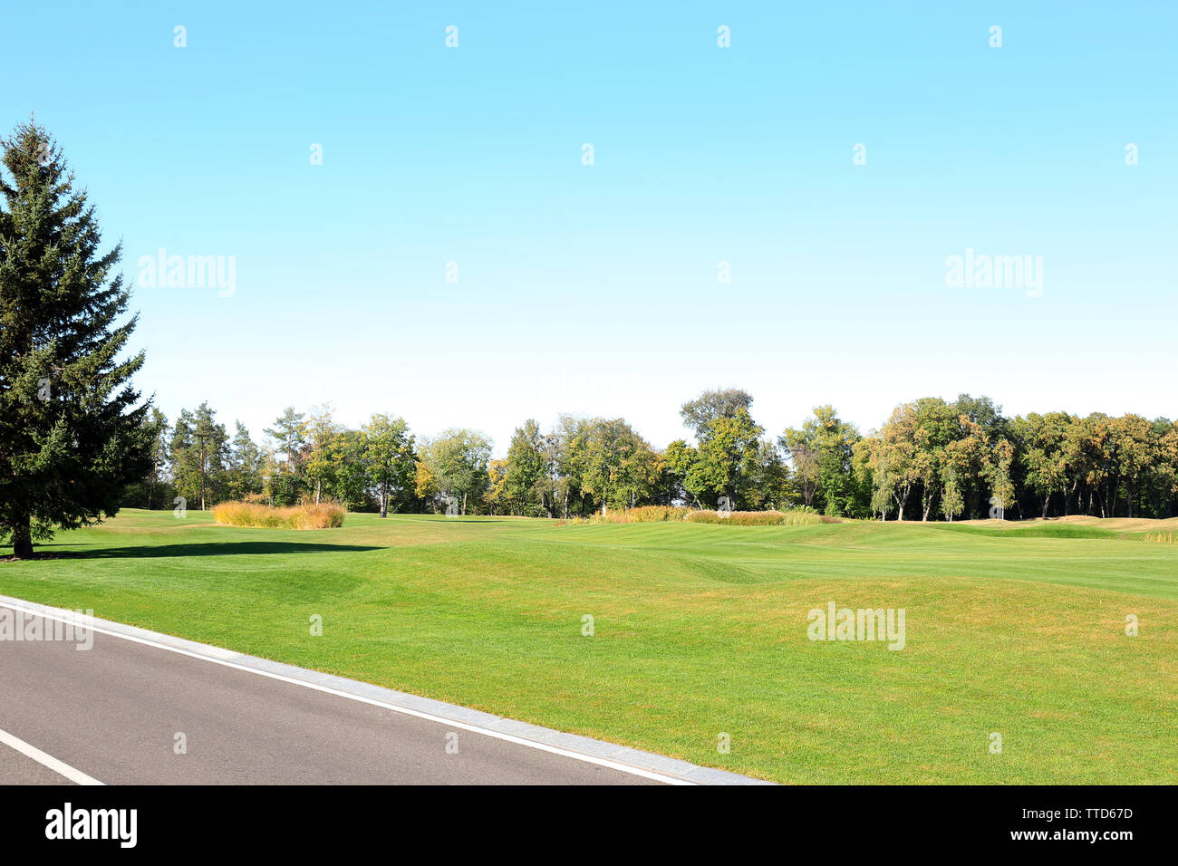 Road in Summer Stock Photo - Alamy