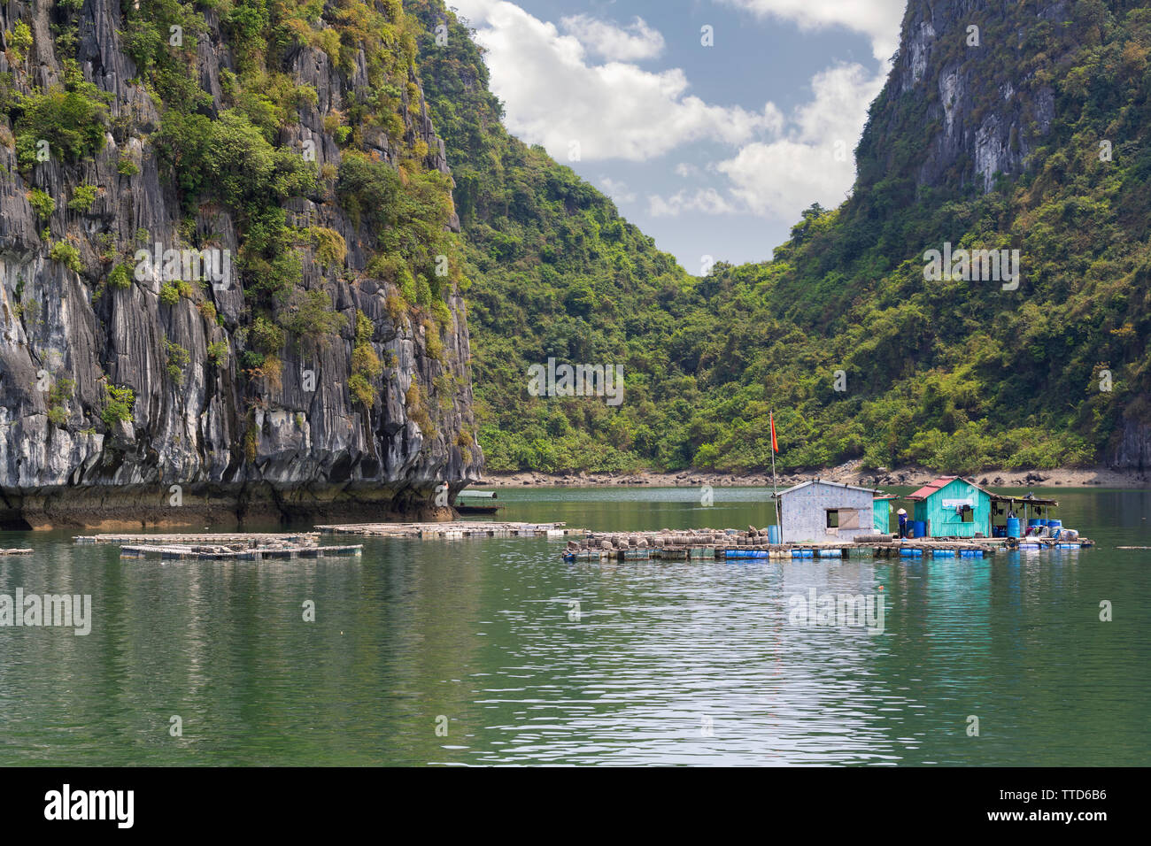 Floating fishermen village in Ha Long Bay near Cat Ba Island, Hai Phong ...