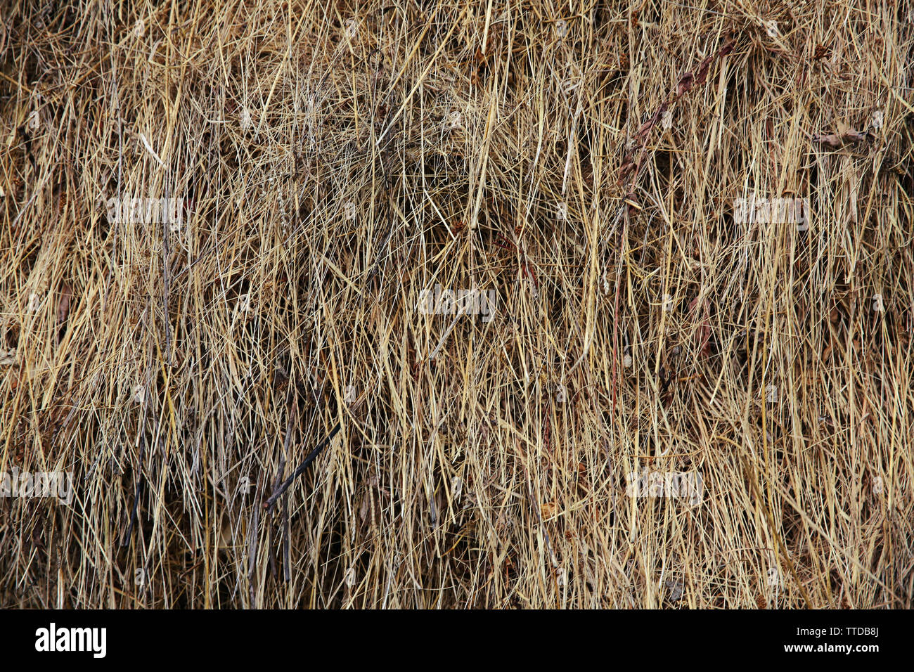 Old hay background Stock Photo - Alamy