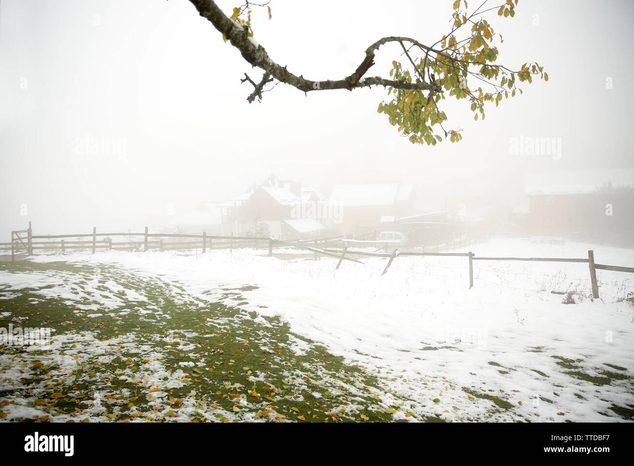 Foggy winter morning in mountains Stock Photo - Alamy