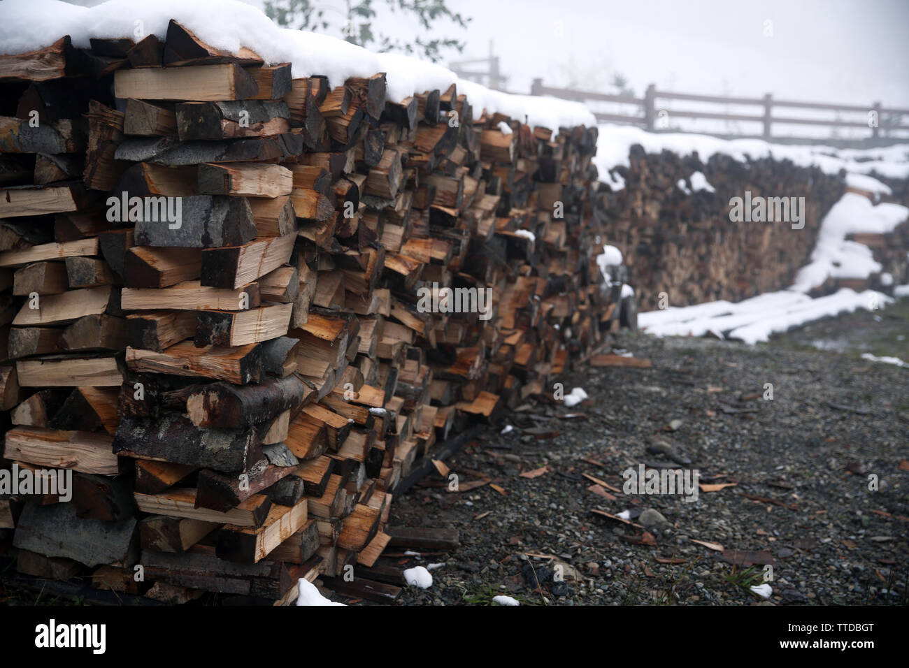 Logs of fire wood under snow Stock Photo - Alamy