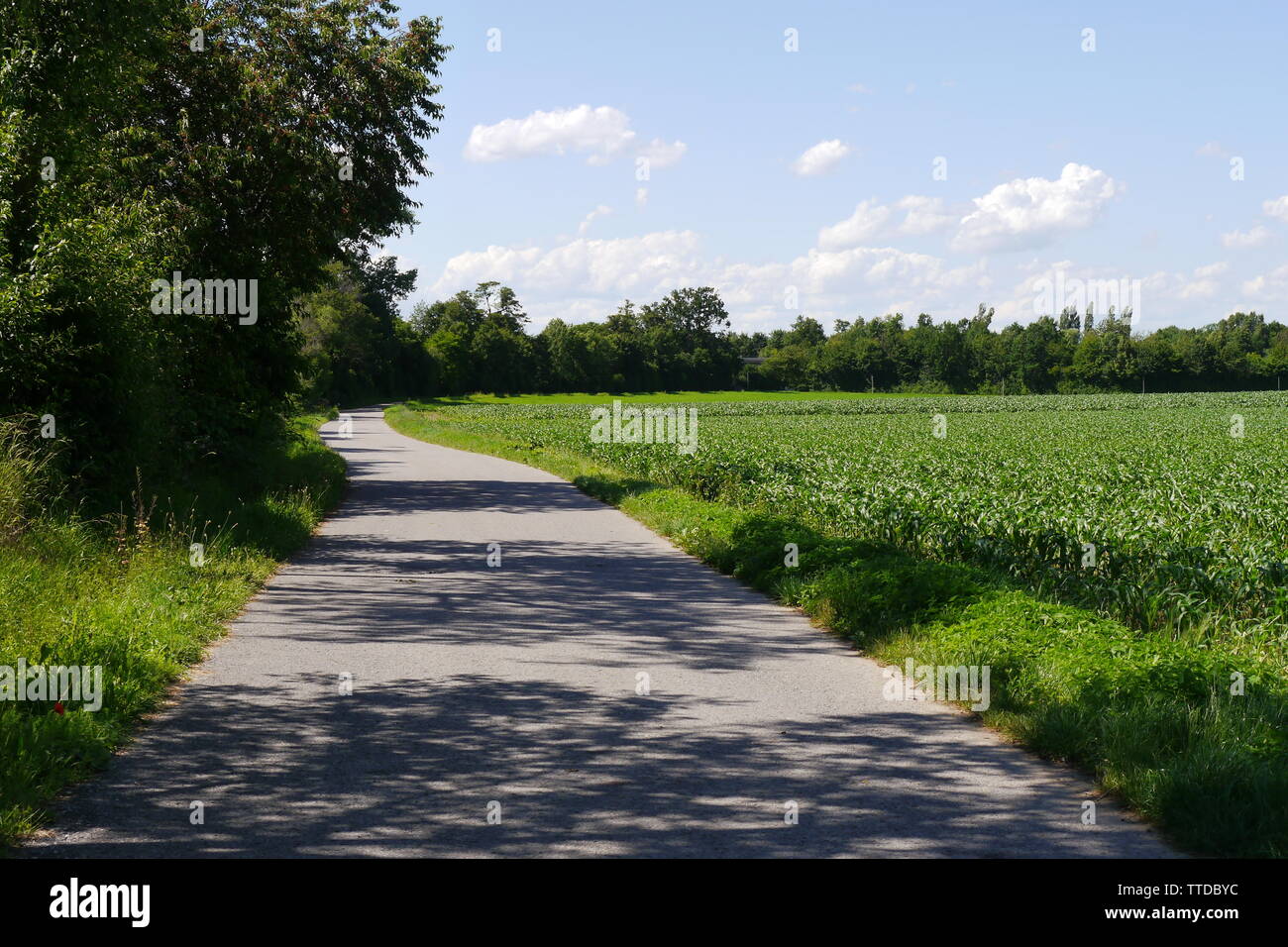 Pathway through fields hi-res stock photography and images - Alamy