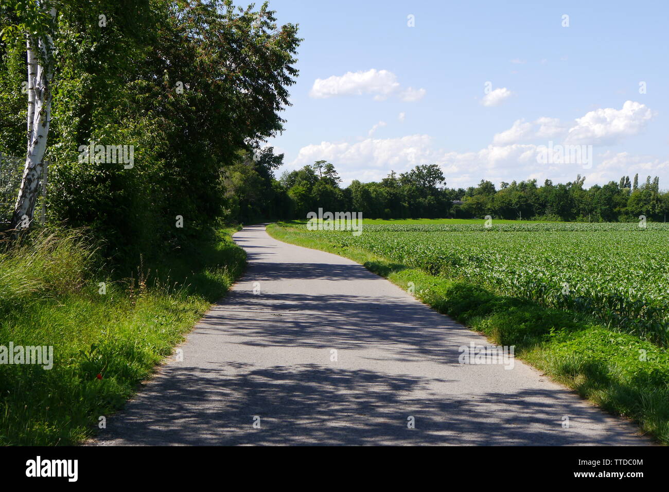 Pathway through the fields hi-res stock photography and images - Alamy