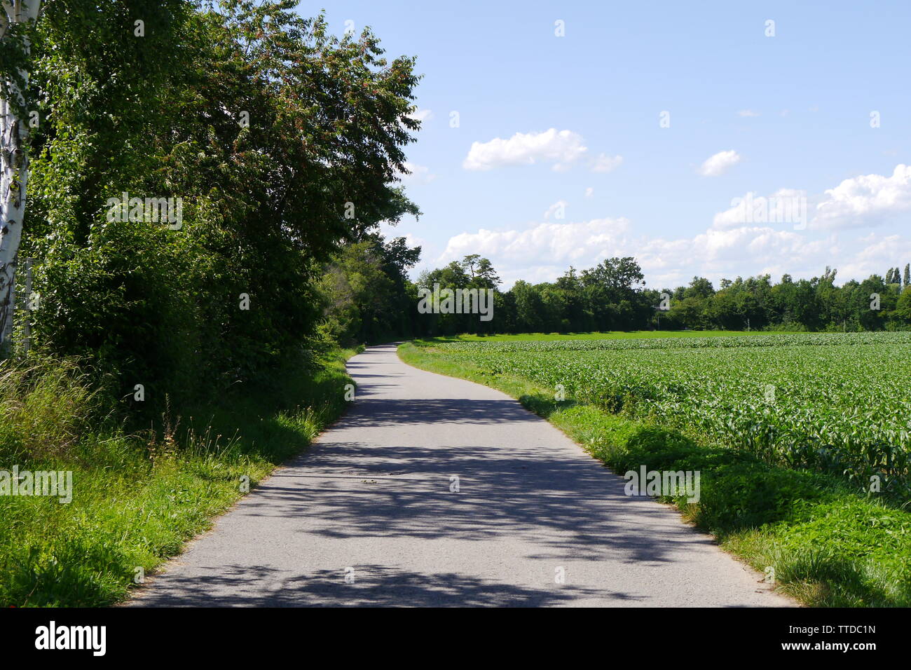 Pathway through the fields hi-res stock photography and images - Alamy