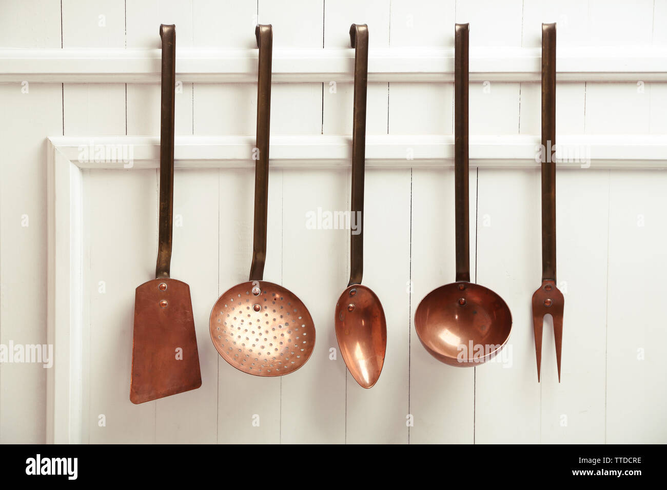 Scapula brown hi-res stock photography and images - Alamy