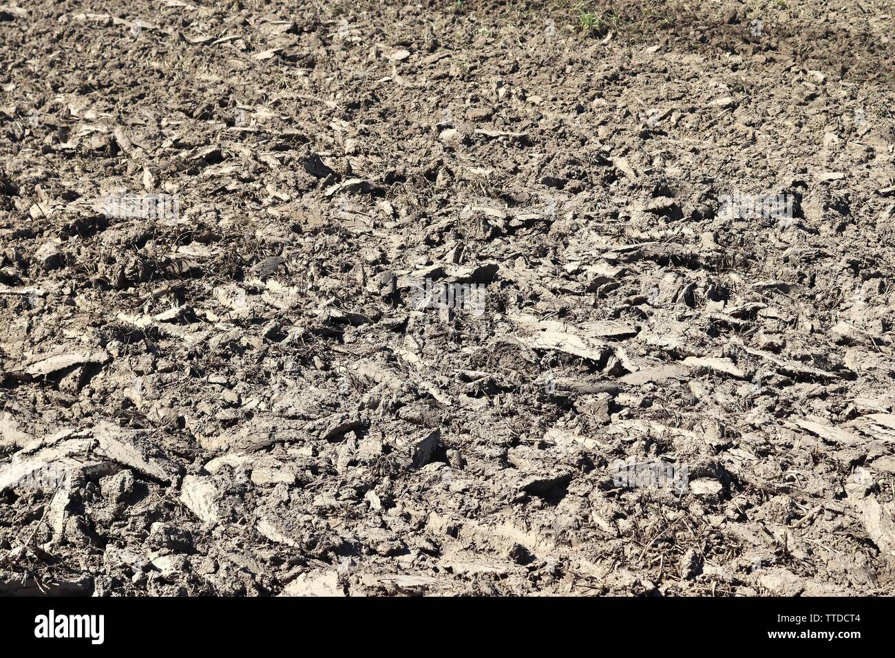 Close up view on agricultural fields with dry ground and tractor tracks ...