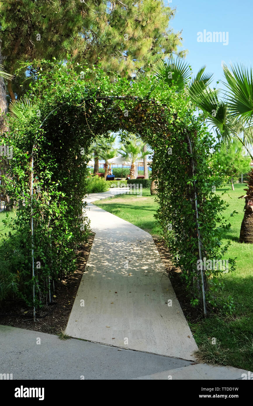 Tree arch over pathway hi-res stock photography and images - Alamy