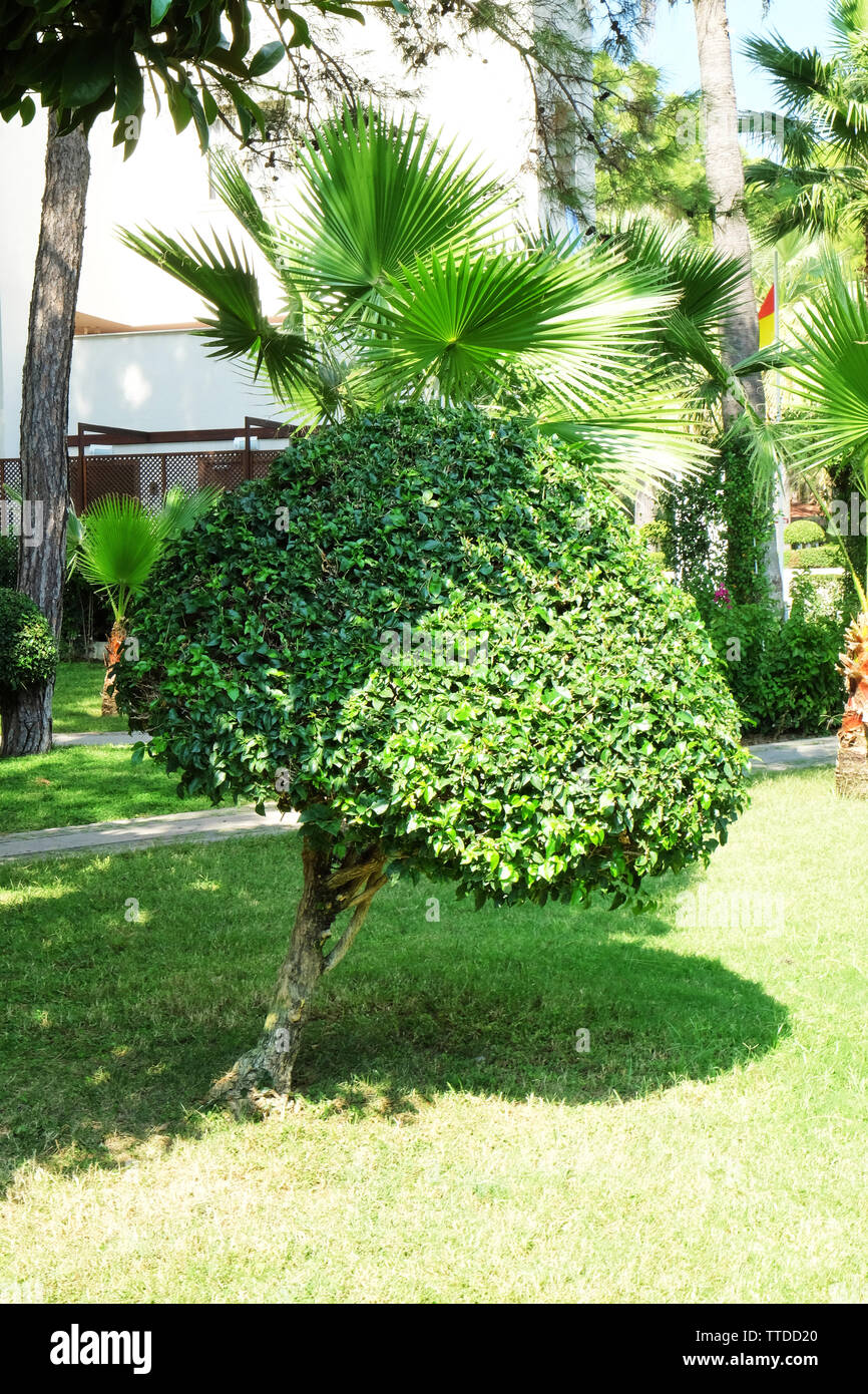 Turkish resources hi-res stock photography and images - Alamy