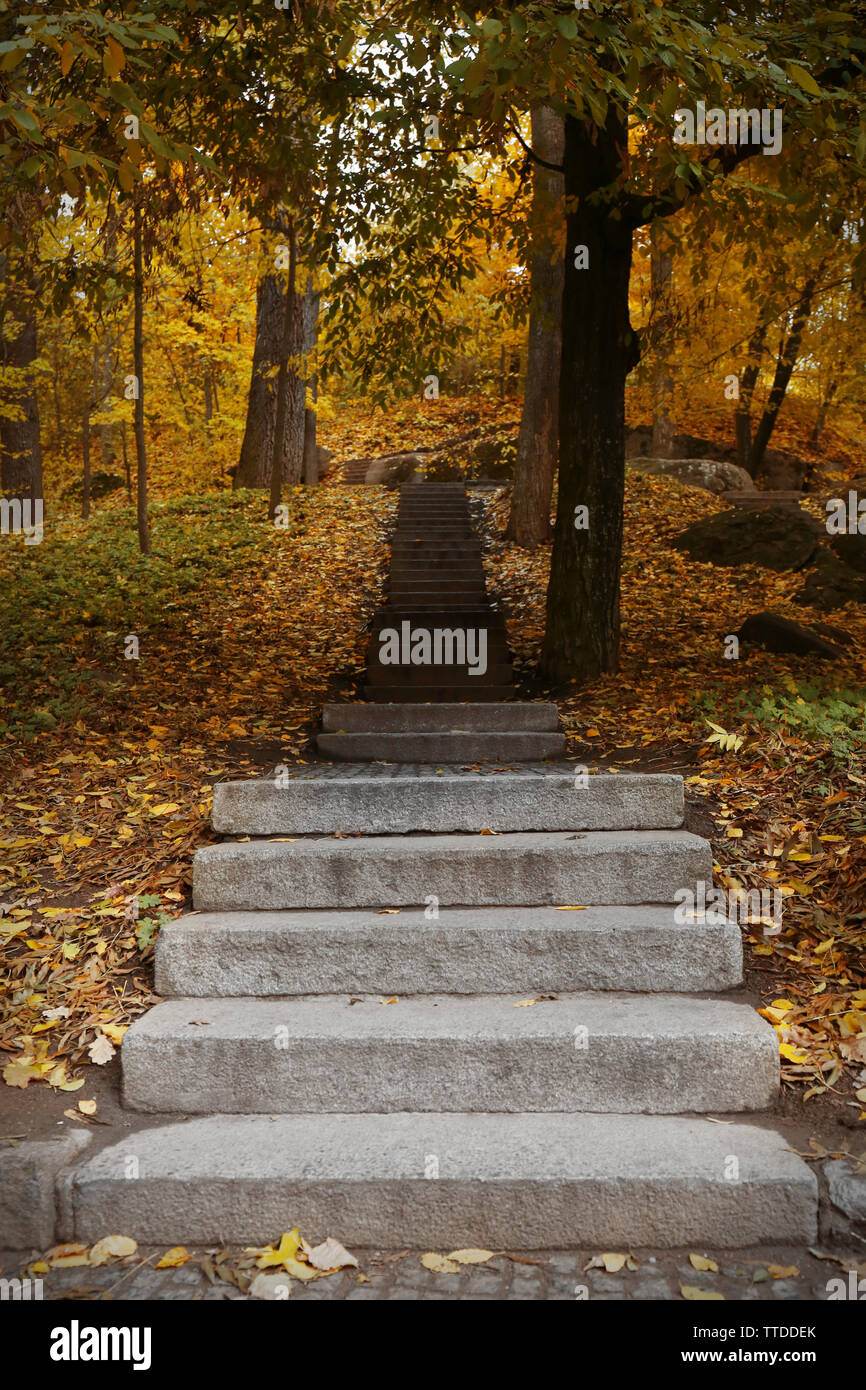 Maple wood stairs hi-res stock photography and images - Alamy