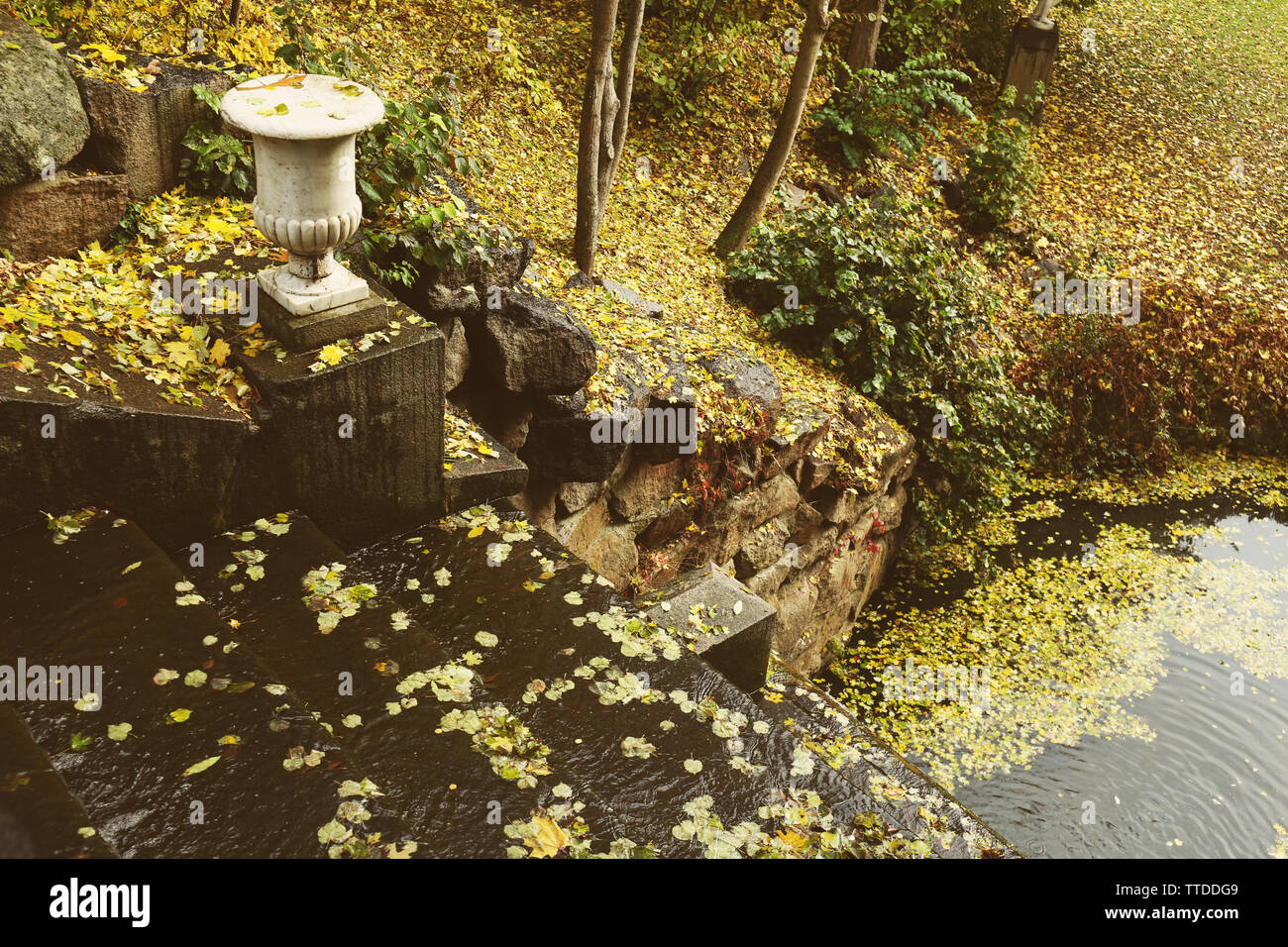 Wet stairs and pond in the autumn park Stock Photo - Alamy