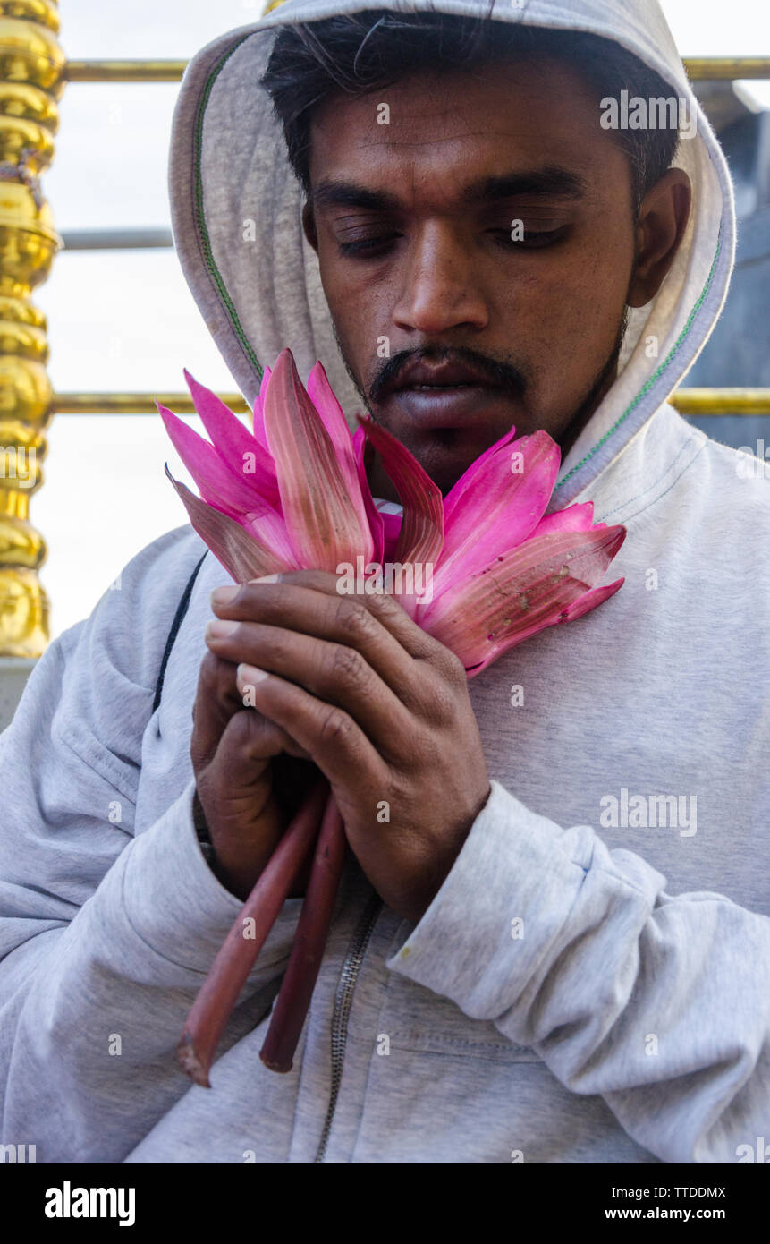 Sunrise Adams's Instagram, Twitter & Facebook on IDCrawl