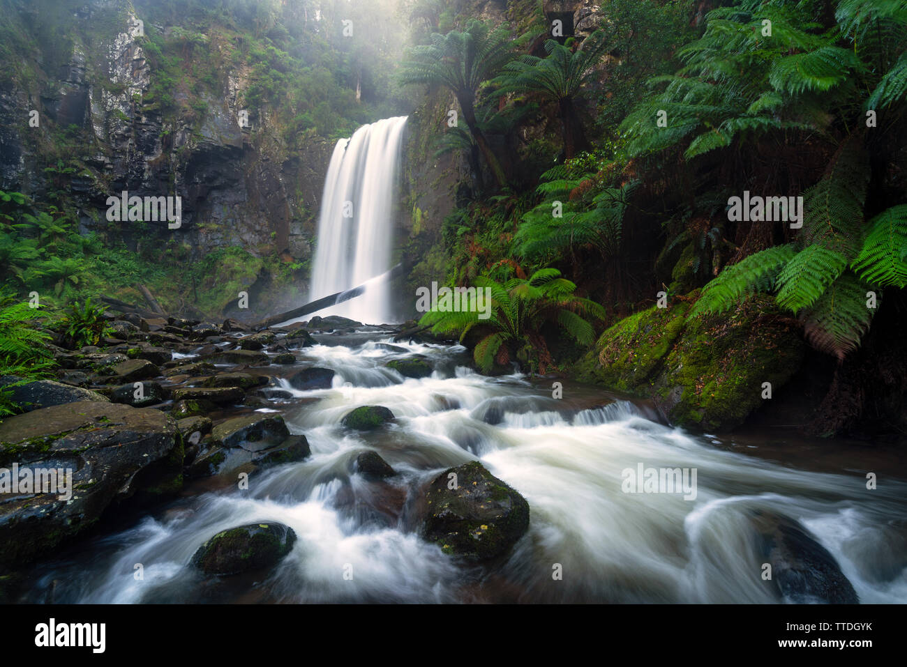 Hopetoun Falls a popular waterfall in the Otway Ranges on the Great ...