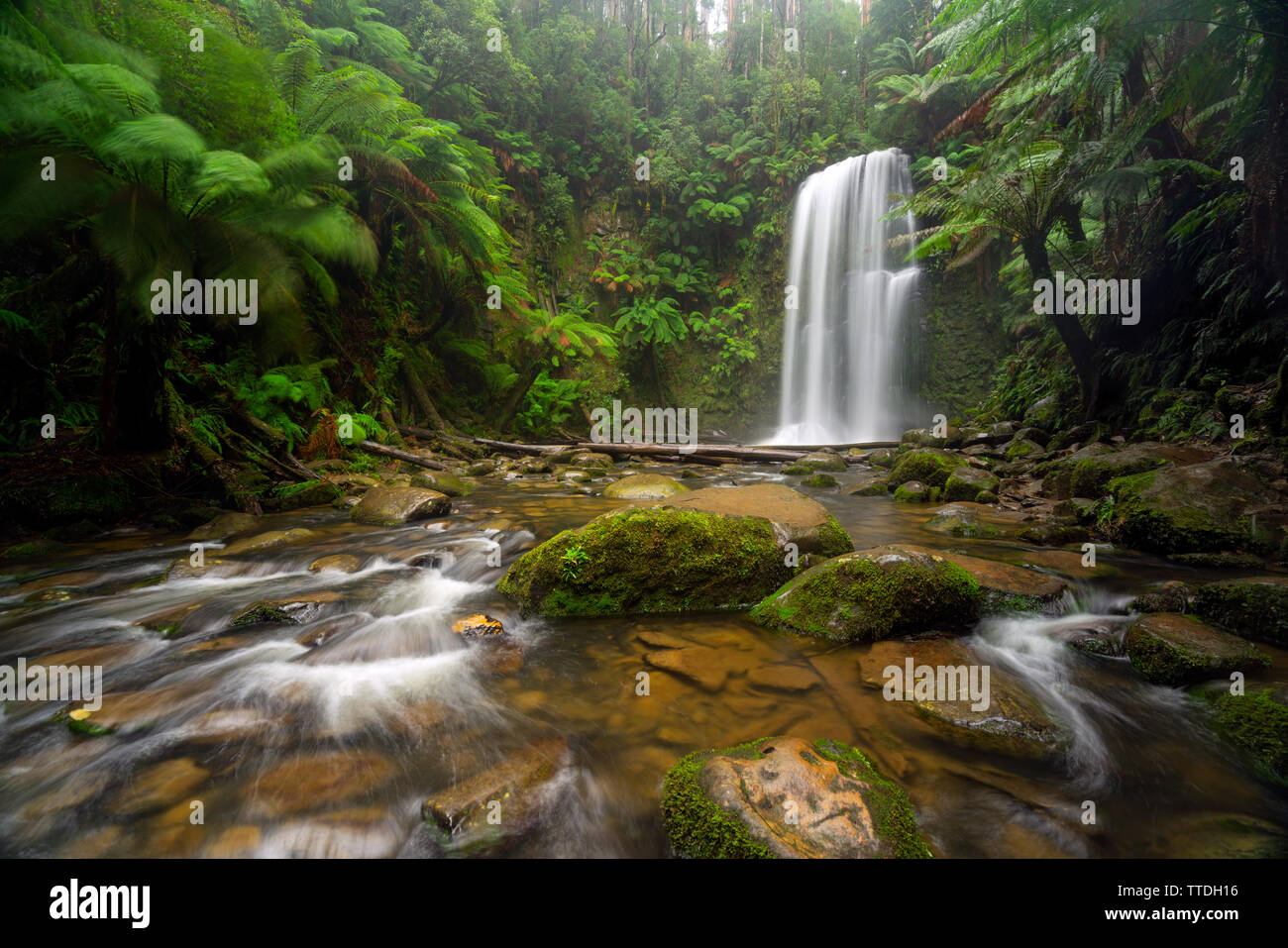 Beauchamp Falls a waterfall in the Otway National Park near the Great ...