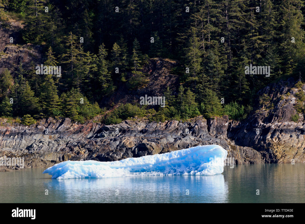 Ice, Endicott Arm, Holkham Bay, Juneau, Alaska, USA Stock Photo - Alamy