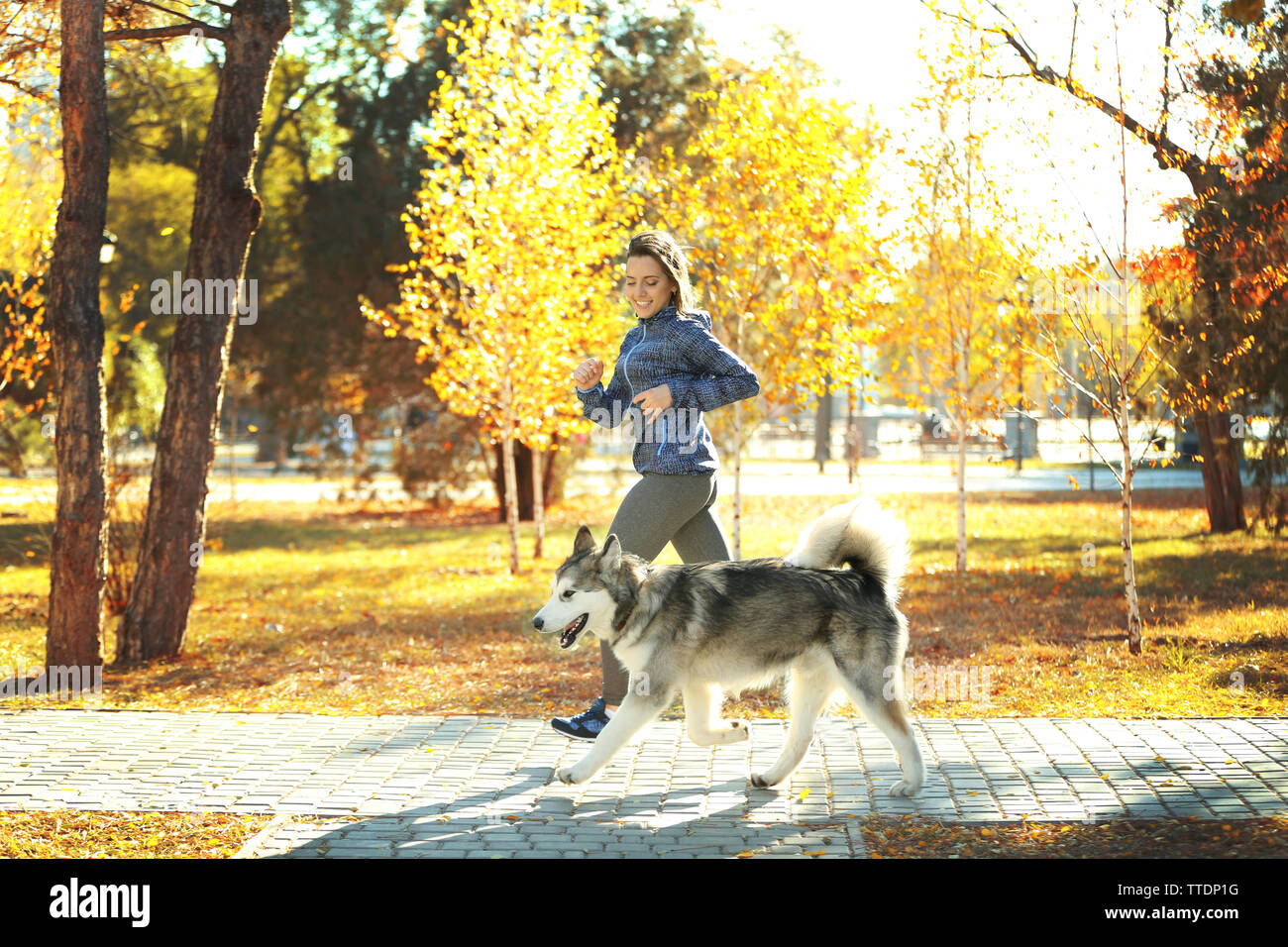 Happy young woman jogging with her dog in park Stock Photo - Alamy