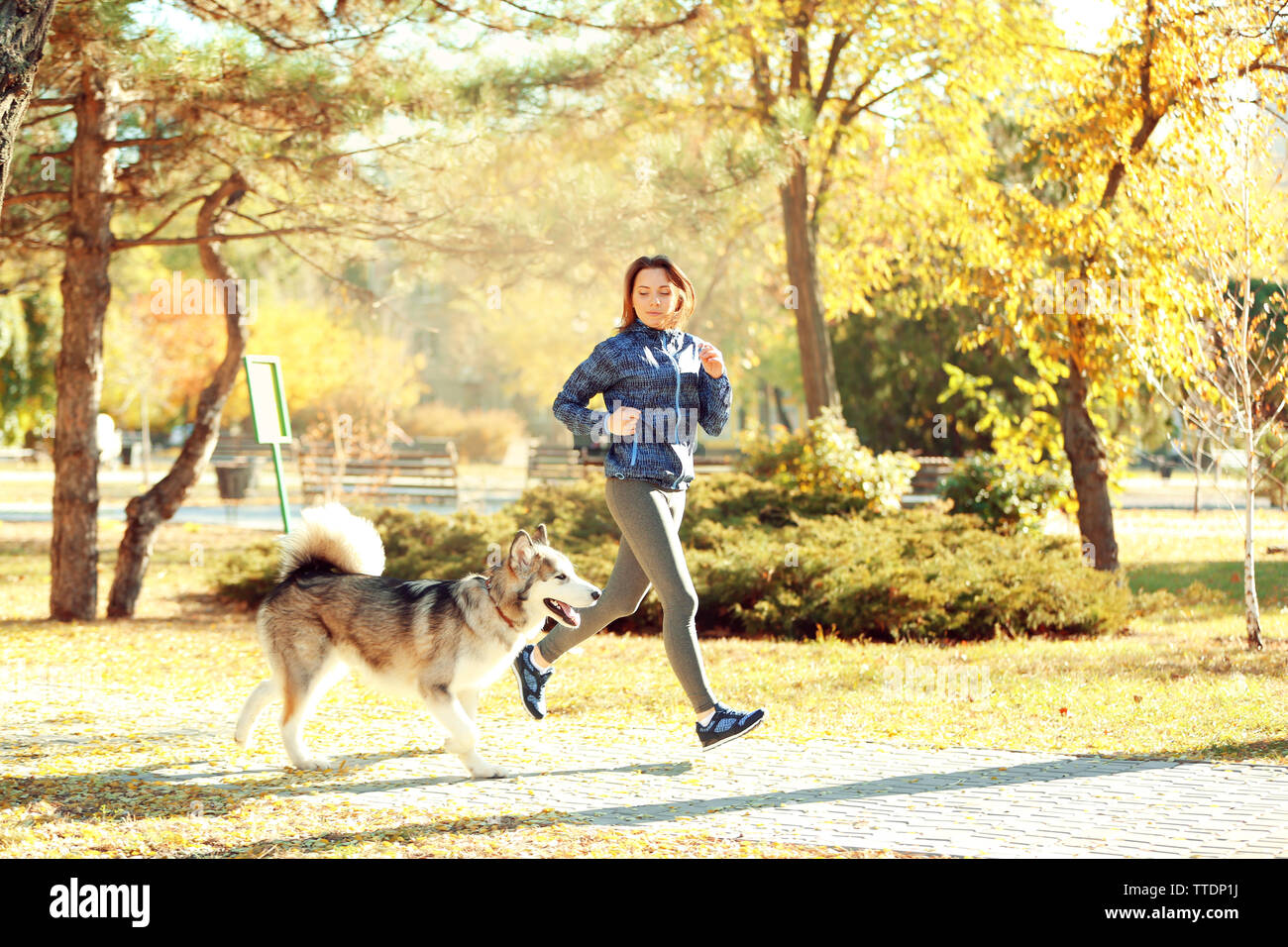 Happy young woman jogging with her dog in park Stock Photo - Alamy