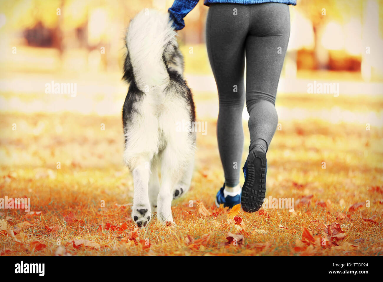 Happy young woman jogging with her dog in park Stock Photo - Alamy