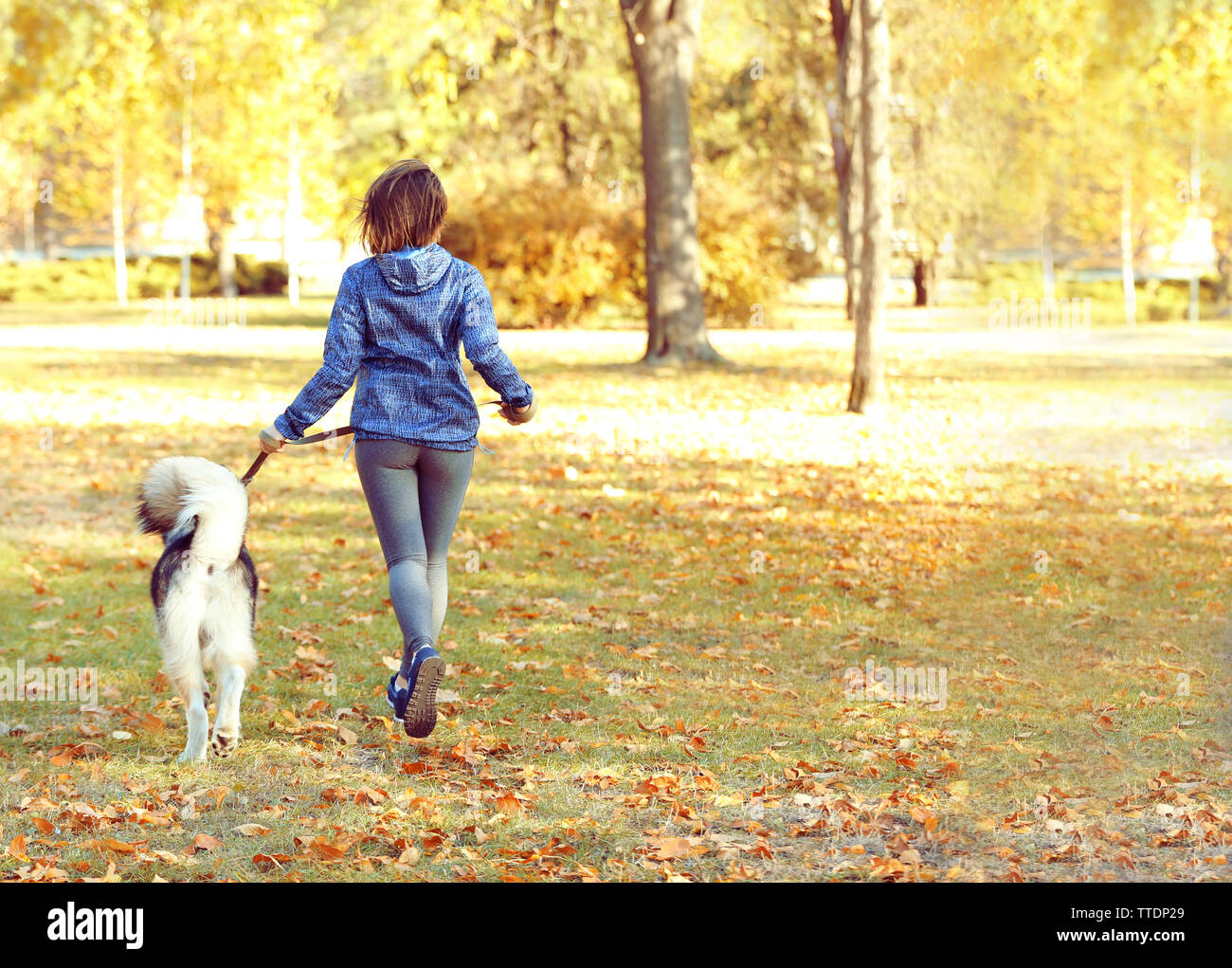 Happy young woman jogging with her dog in park Stock Photo - Alamy
