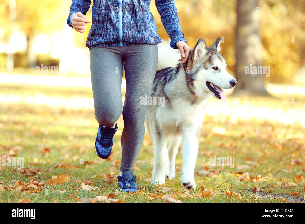 Happy young woman jogging with her dog in park Stock Photo - Alamy