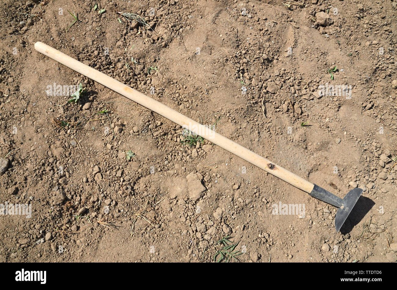 Bayonet belonging hi-res stock photography and images - Alamy
