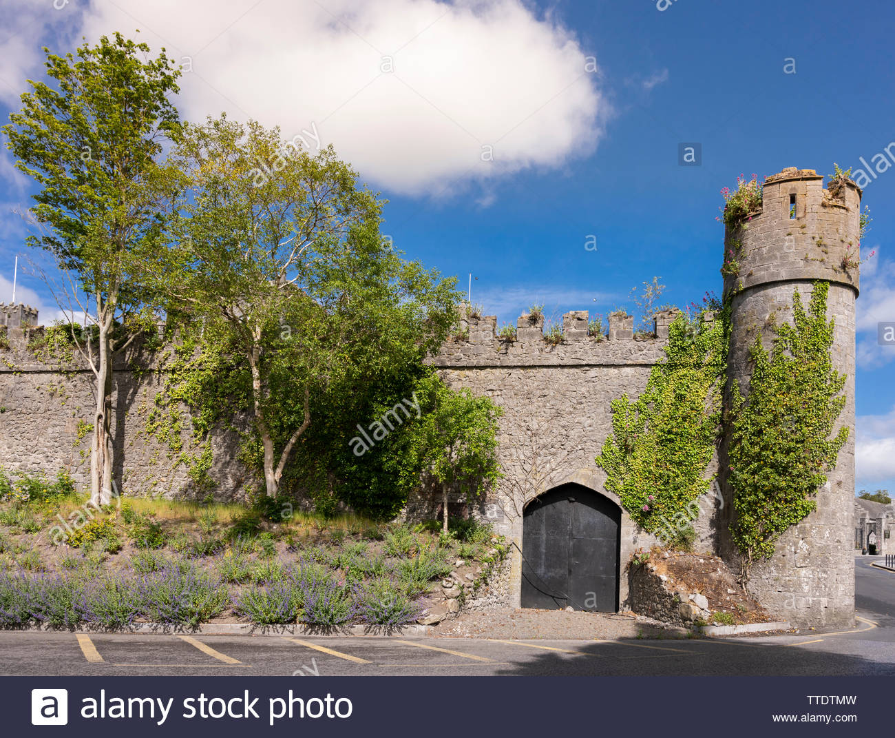 Birr Castle High Resolution Stock Photography and Images - Alamy