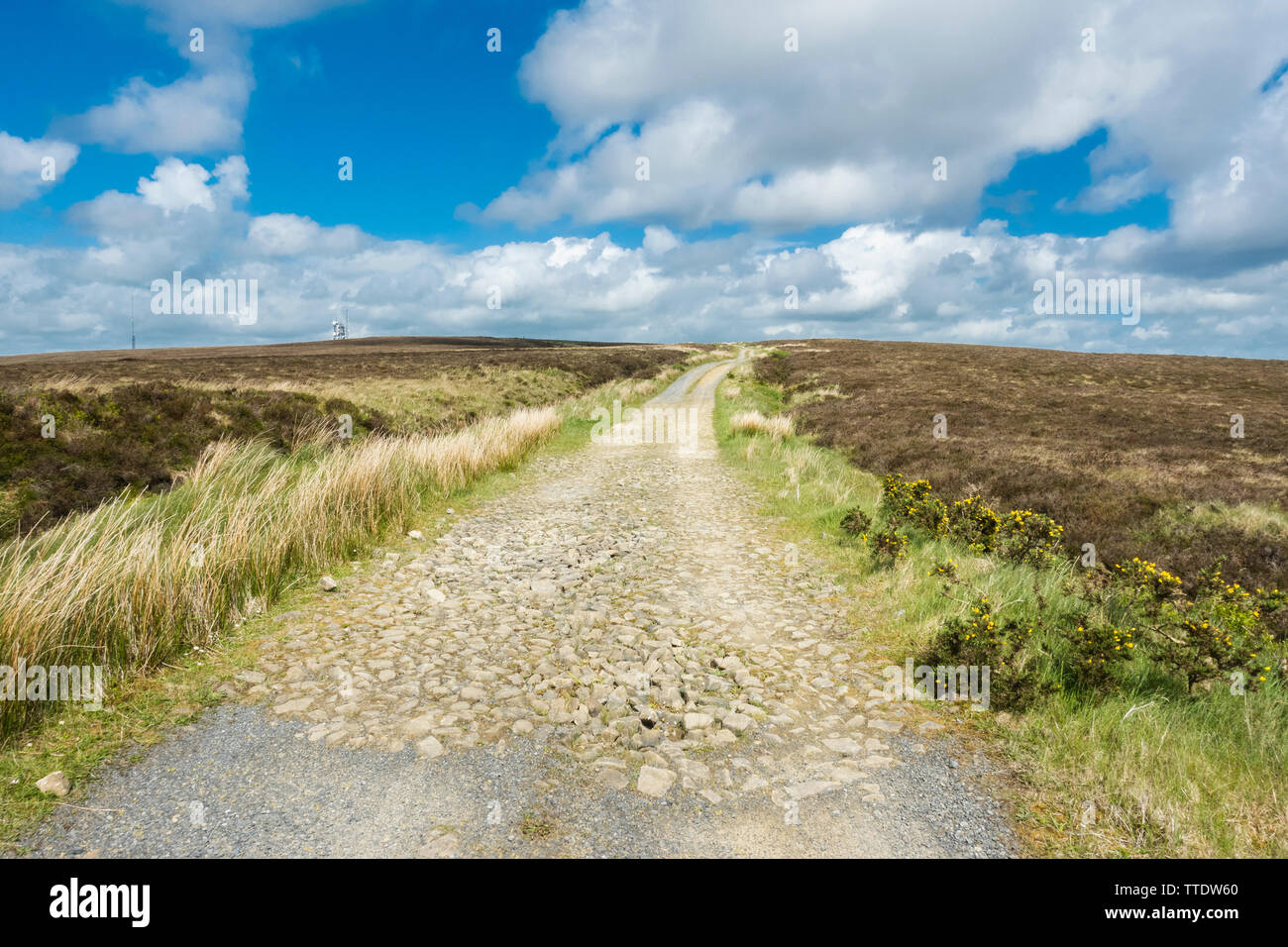 Track across the top of Wolftrap Mountain, Slieve Bloom Mountains ...