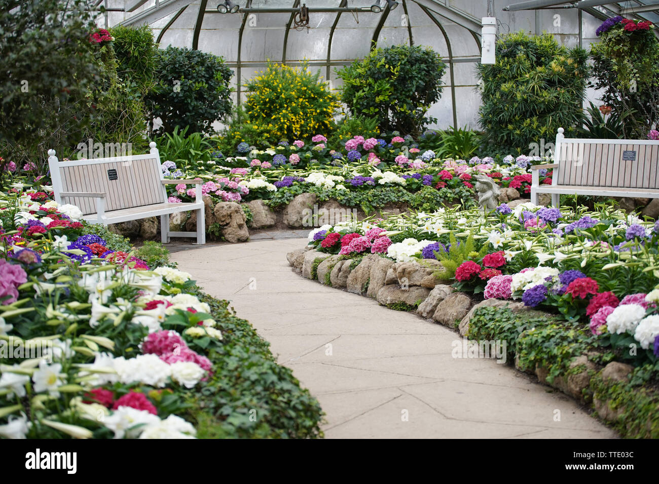 flowers and plants inside a conservatory Stock Photo - Alamy