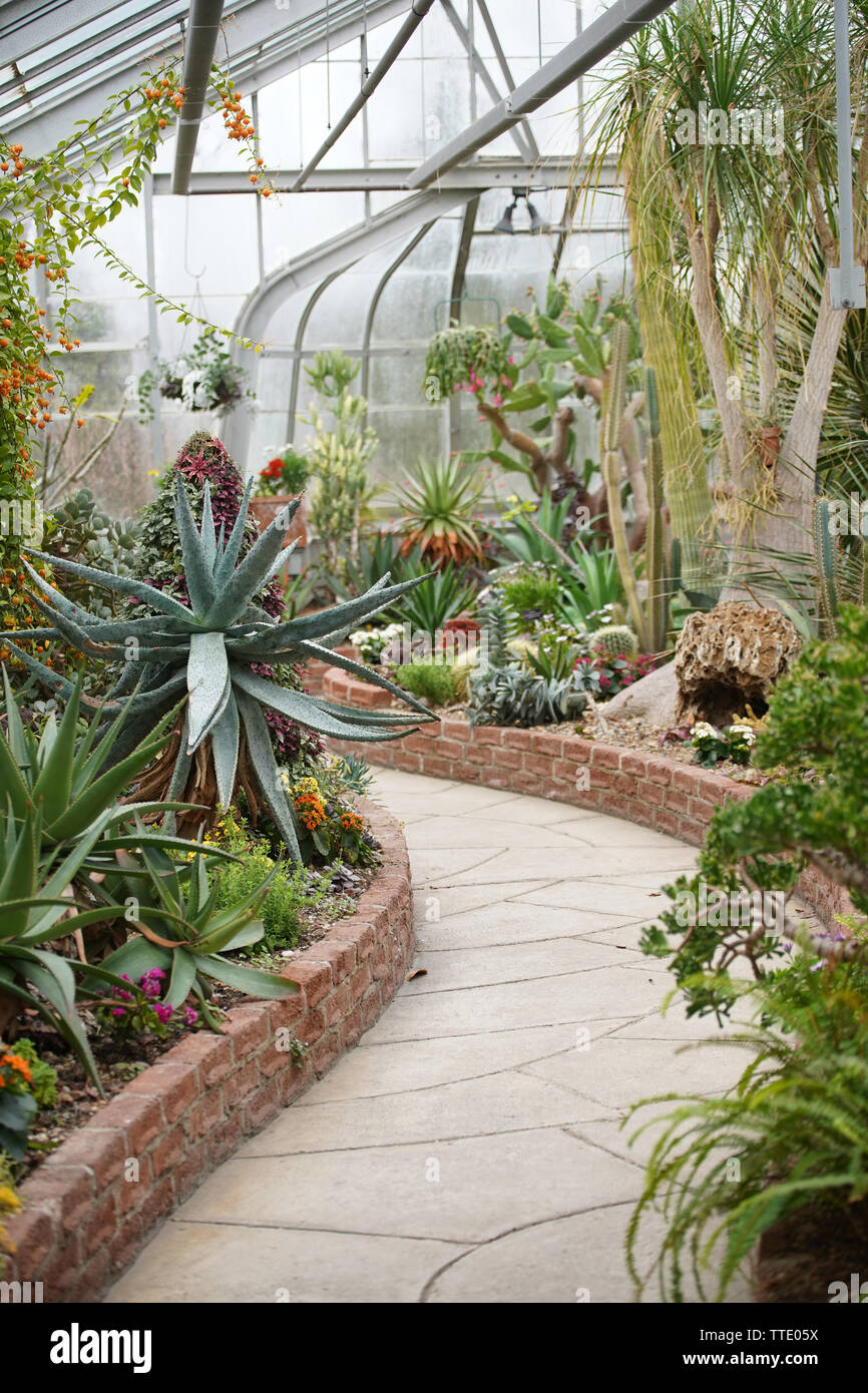 tropical plants inside a greenhouse Stock Photo - Alamy