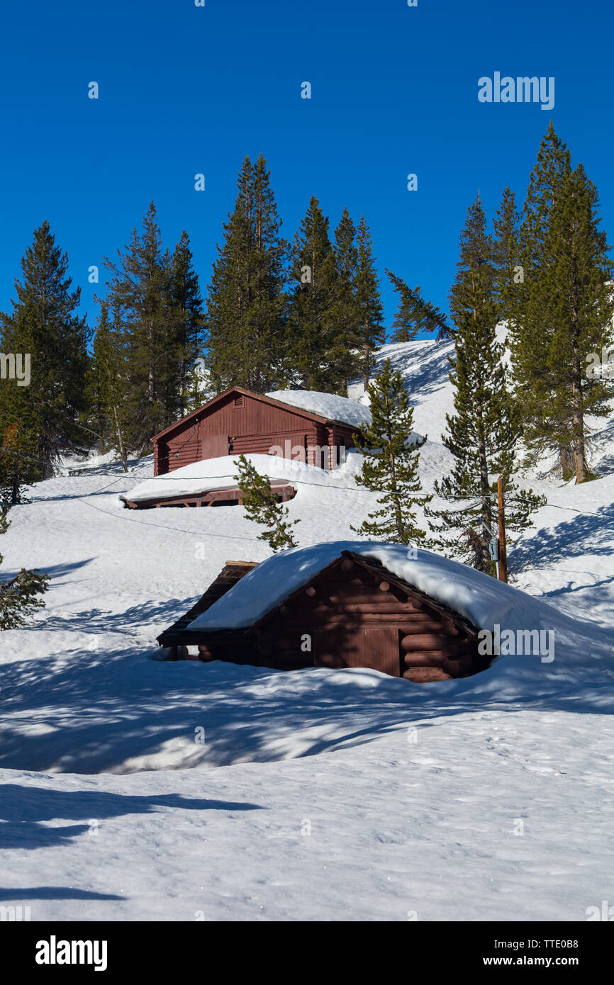 Wood cabins at The Tioga Pass resort in the Sierra Nevada mountains on ...