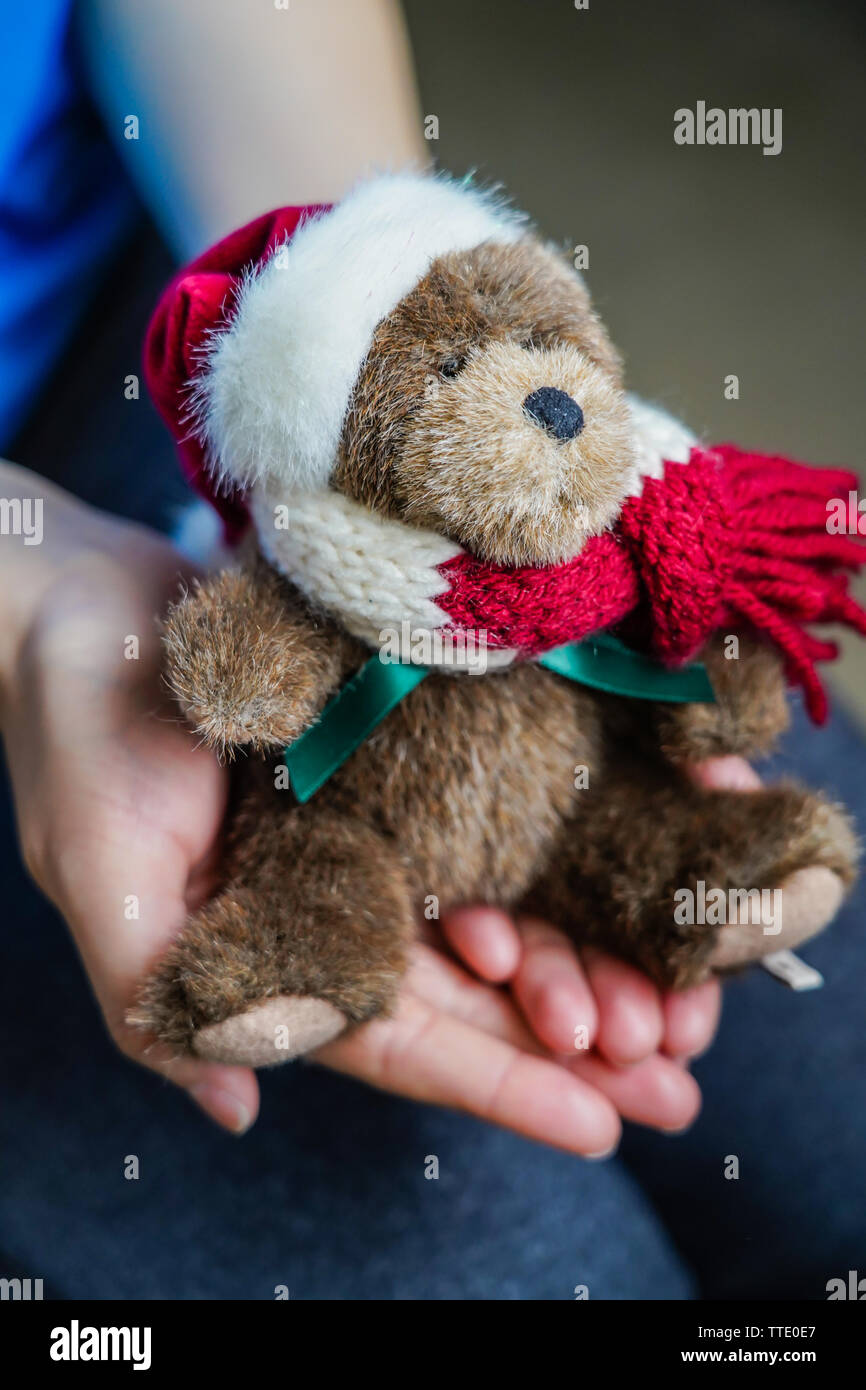 a small brown teddy bear in winter outfit on two hands Stock Photo - Alamy