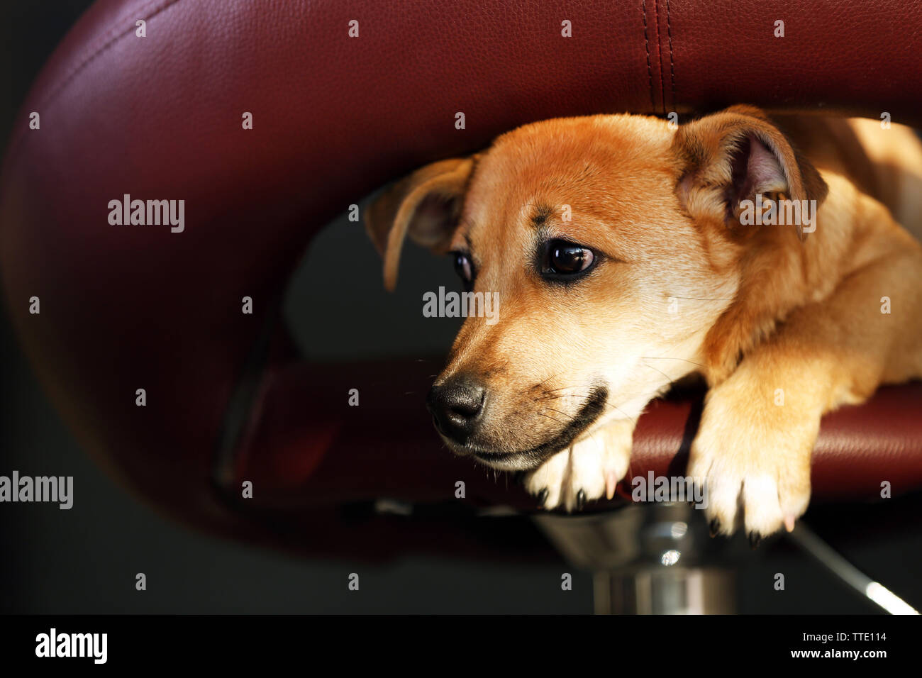 Sitting on bar stool hi-res stock photography and images - Alamy