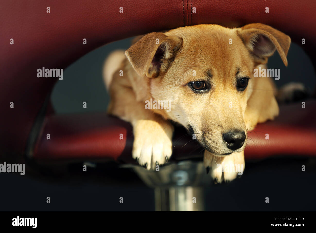 Sitting on bar stool hi-res stock photography and images - Alamy