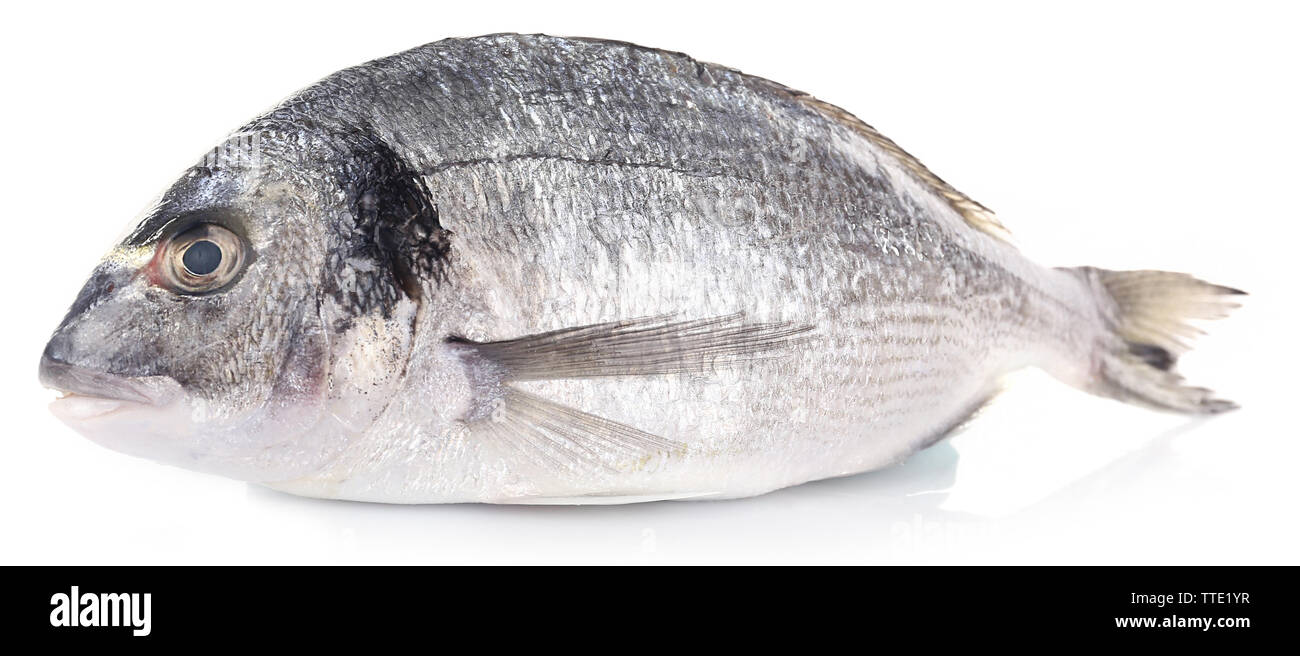 Fresh fish isolated on white background Stock Photo - Alamy