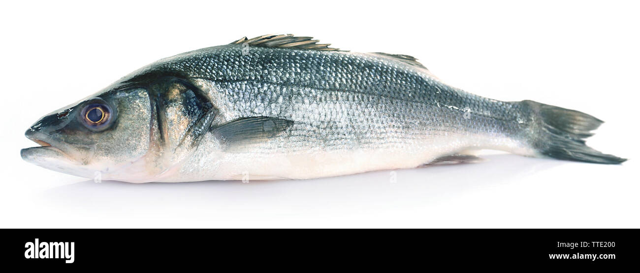 Fresh sea bass fish isolated on white background Stock Photo - Alamy