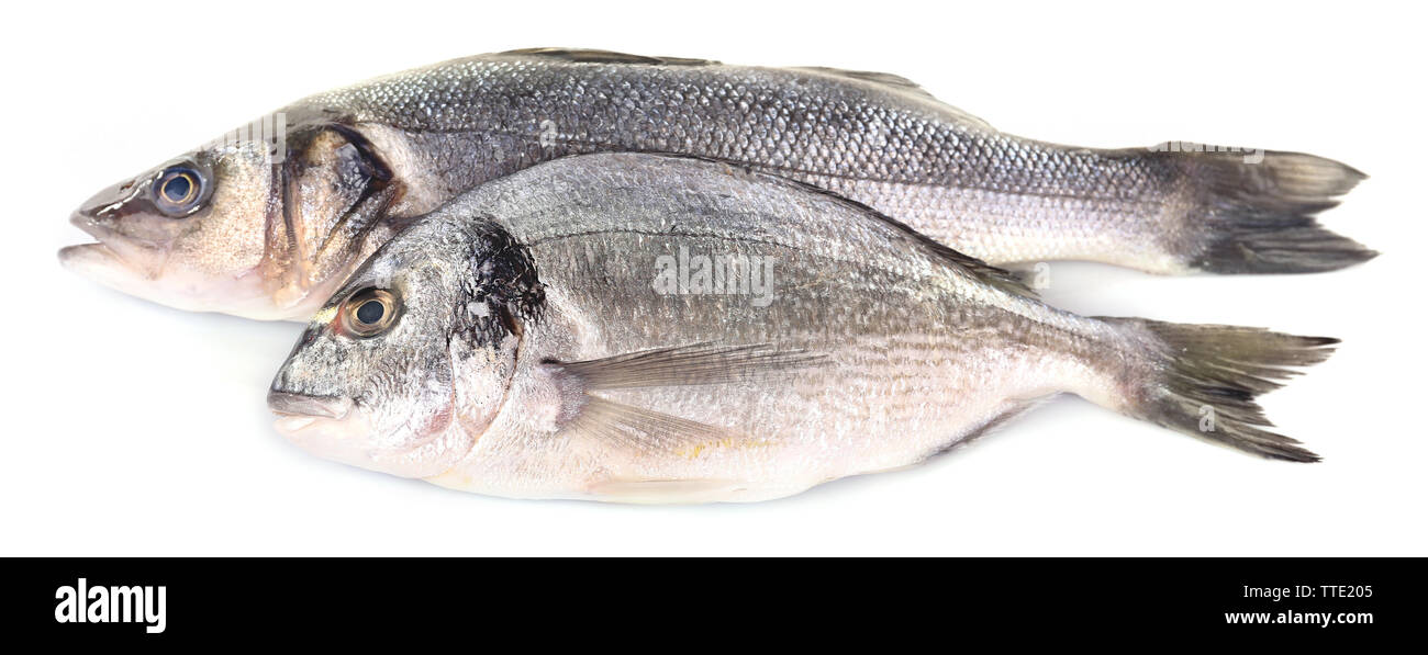 Fresh fish isolated on white background Stock Photo - Alamy