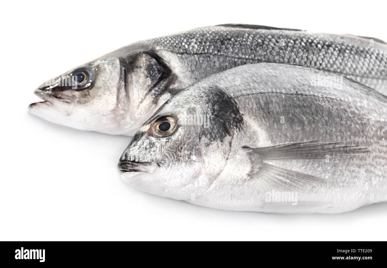 Fresh fish isolated on white background Stock Photo - Alamy