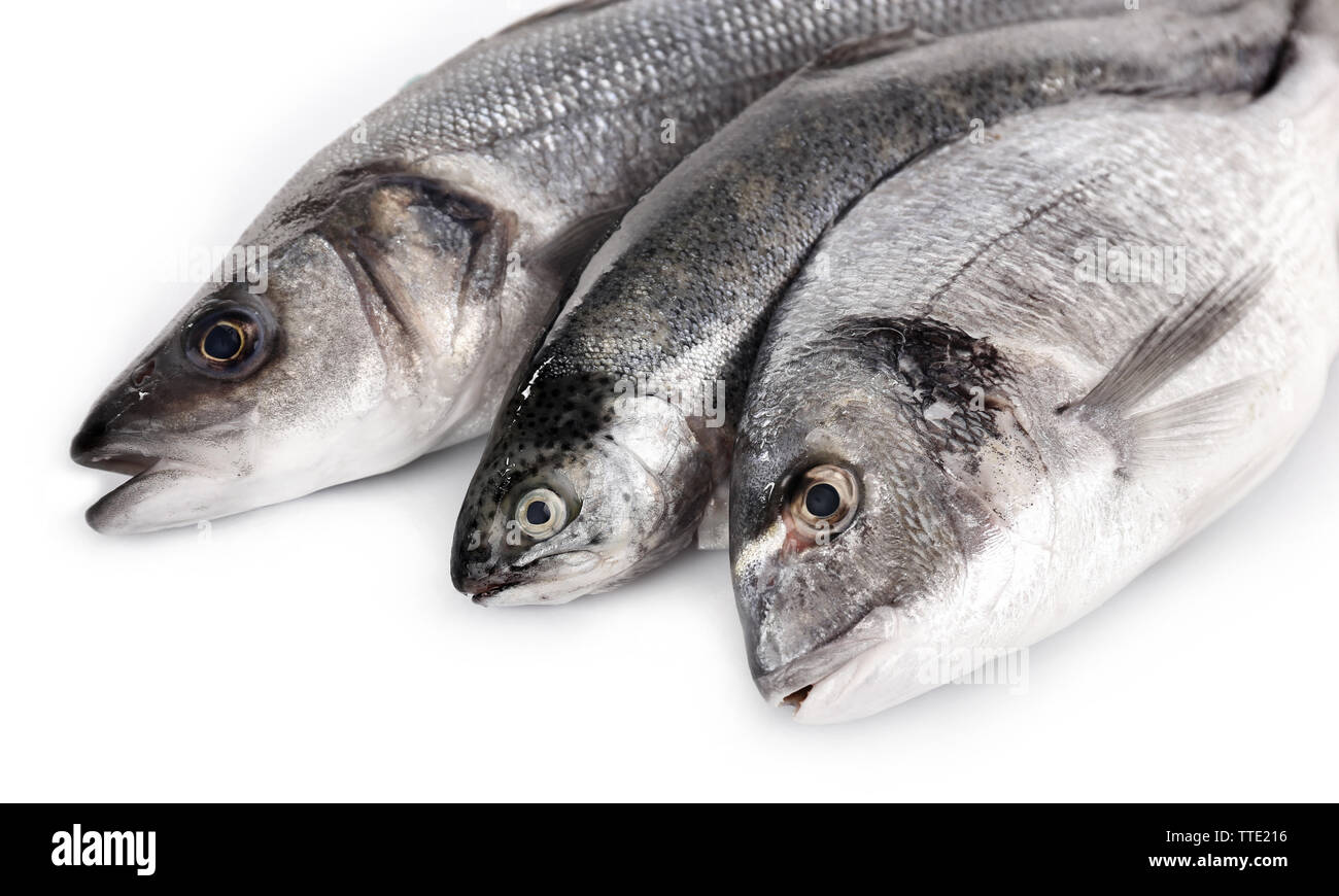 Fresh fish in a row isolated on white background Stock Photo - Alamy