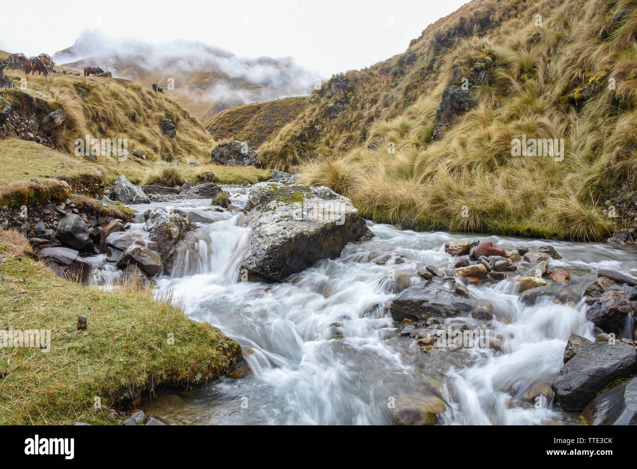 Agua inca hi-res stock photography and images - Alamy