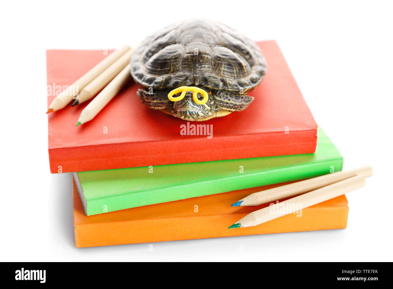 Turtle on pile of colourful books against white background Stock Photo ...