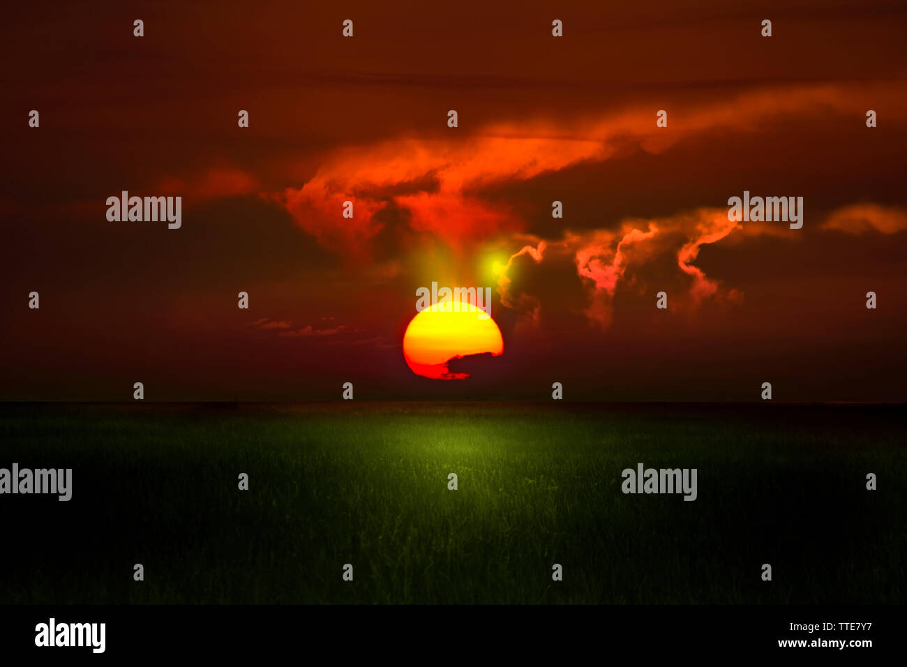Wetland everglades sunset hi-res stock photography and images - Alamy