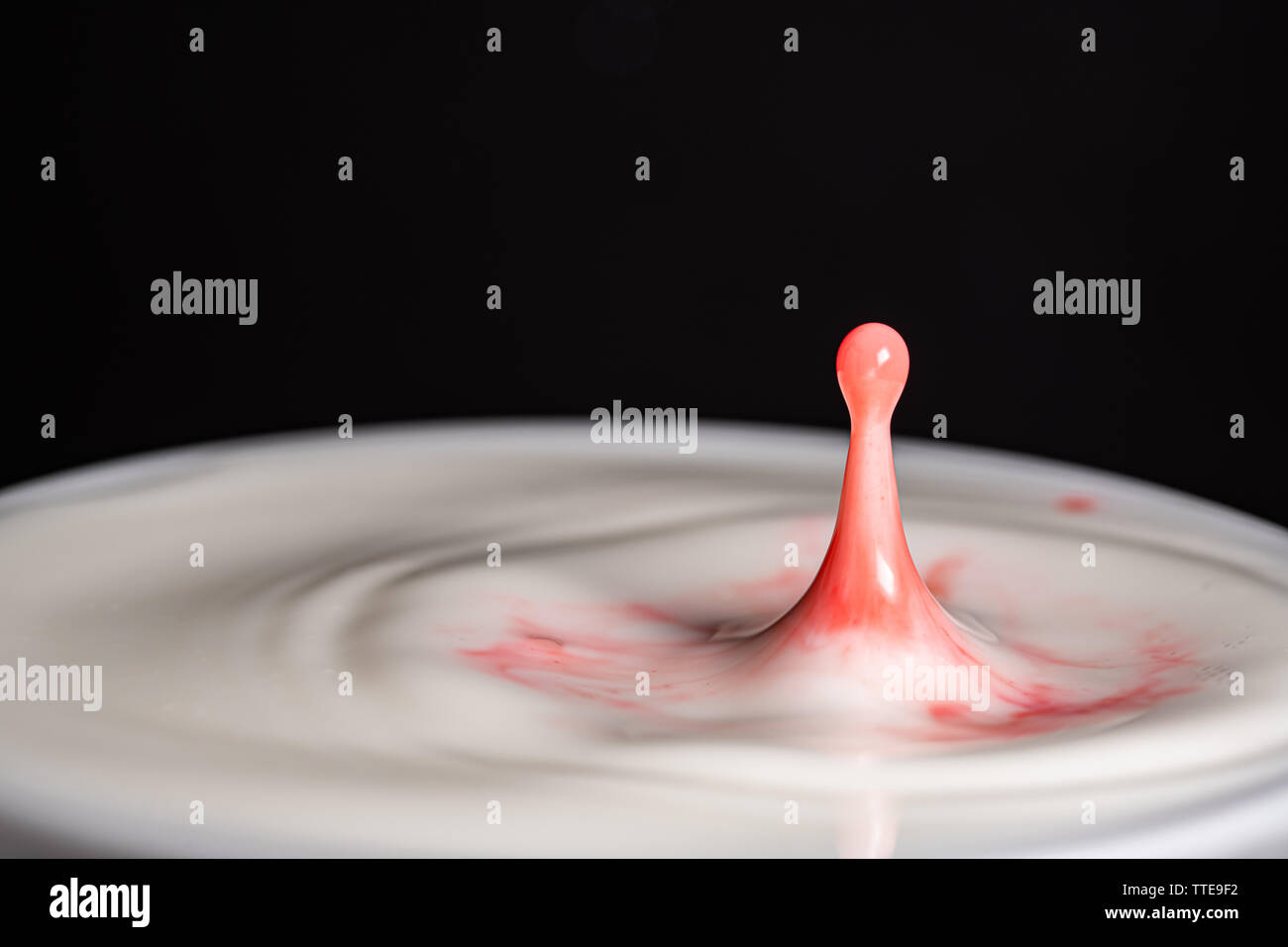 Splash of milk droplets in close up macro high resolution isolated ...