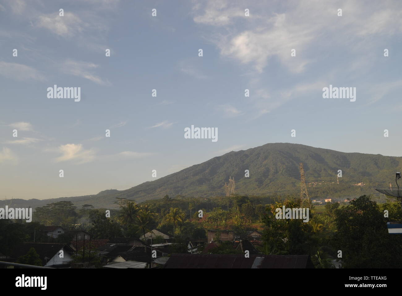 wonderfull rain forest tropis central java ungaran mount indonesia ...