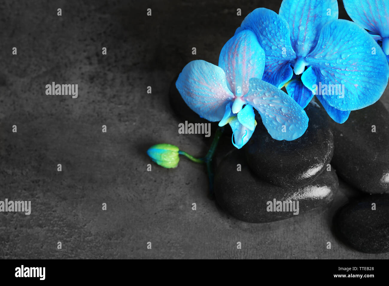 Beautiful spa composition with blue orchid and stones Stock Photo - Alamy