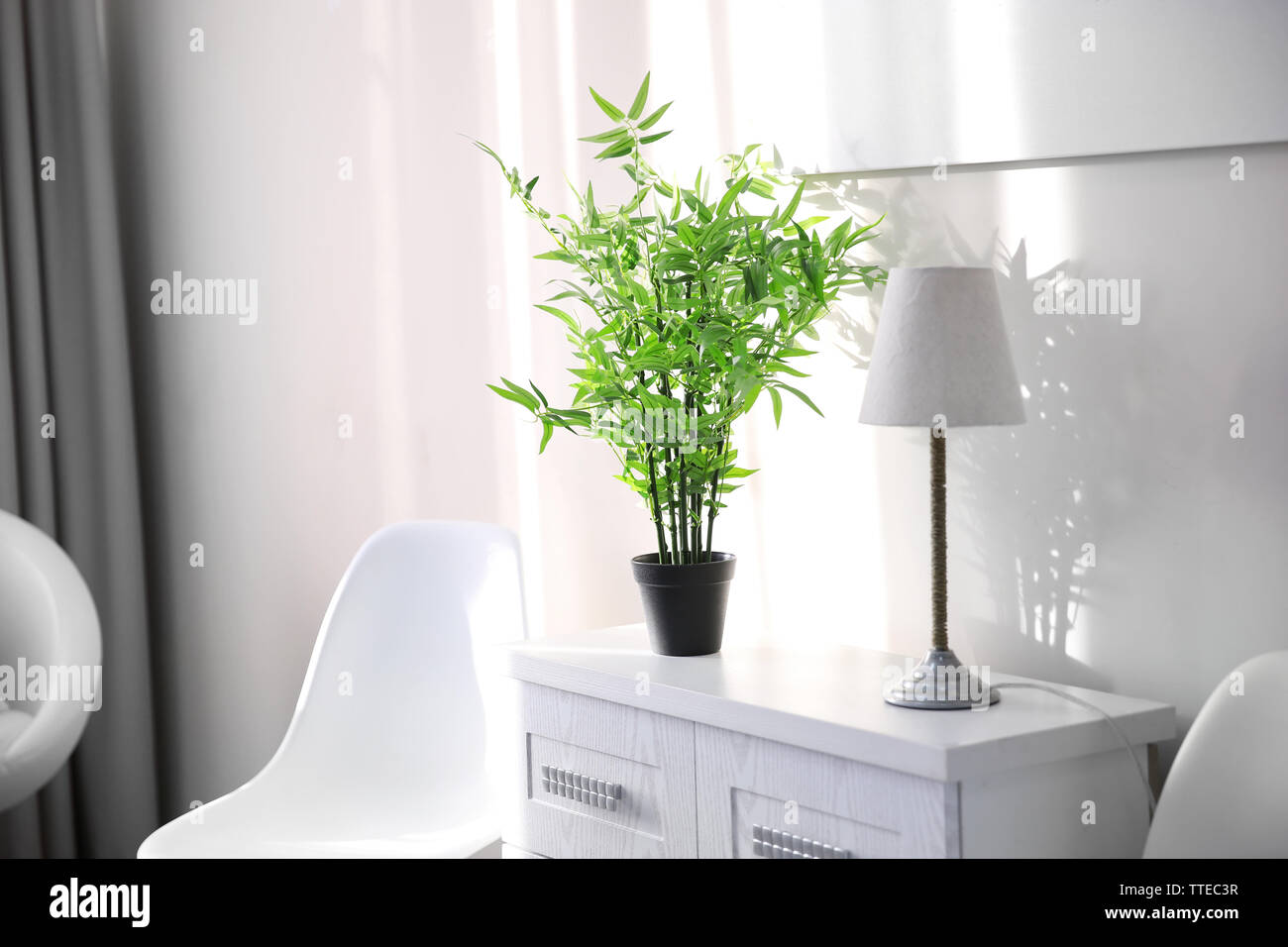 Modern chest with green plant in the room Stock Photo - Alamy