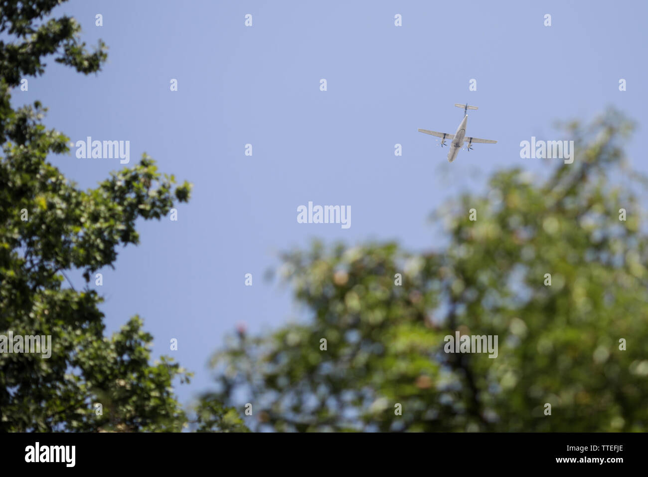 Commercial airline airplane can be seen flying above green trees Stock ...